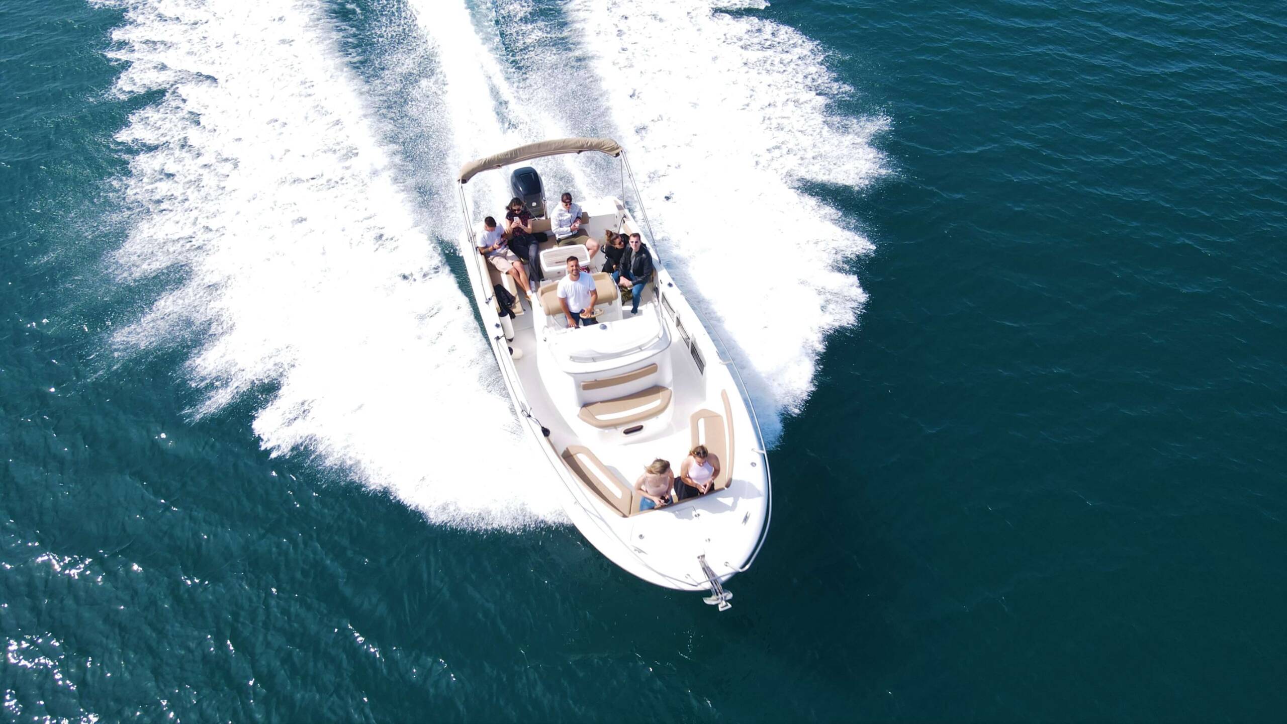 Dolphin Safari & Boat Tours - "Arsen" Vrsar Istria